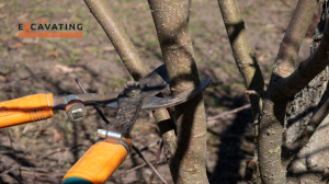 Different Types of Land Clearing Techniques